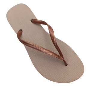 Chinelos - Havaianas e Marca Própria - Sr. Chinelo - Sr Chinelo